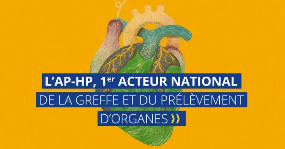 L'AP-HP, acteur référent de la greffe et du don d’organes en France | APHP
